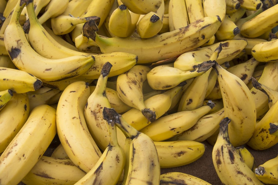 Voici les meilleurs fruits de la nature. - Naturaforme