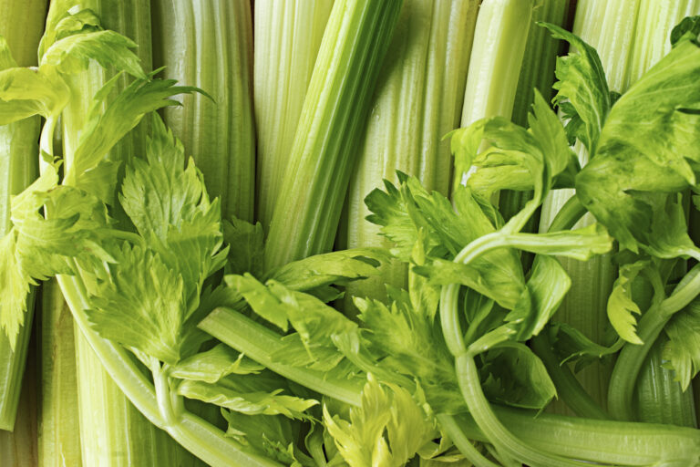 Céleri : Bienfaits, Recettes et Astuces Santé. - Naturaforme